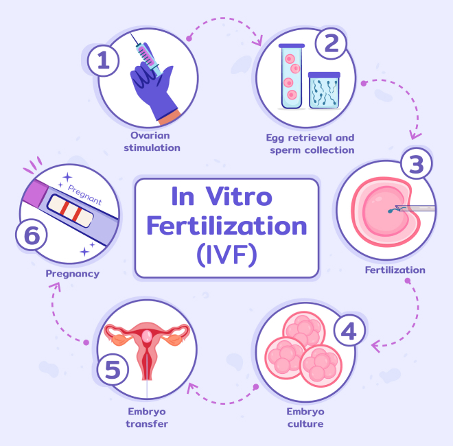 Positive Signs After Embryo Transfer to Look For - Avisena Women's ...